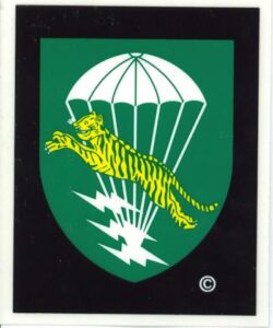 Special Forces LLDB Patch Decal (Vietnam) – MACV-SOG