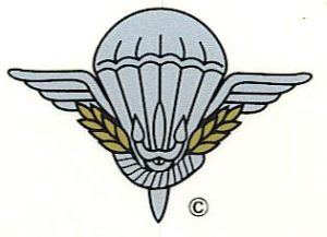Laos Jump Wings Decal – MACV-SOG