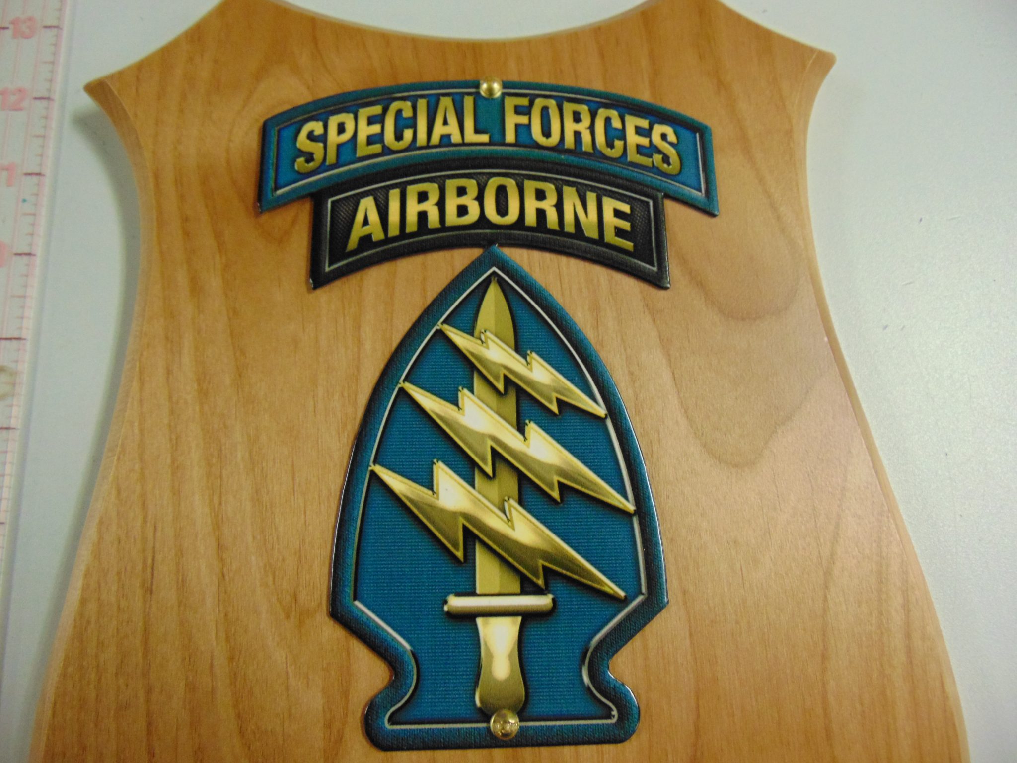 Special Forces SSI Airborne, Special Forces Tabs Wooded Plaque with ...