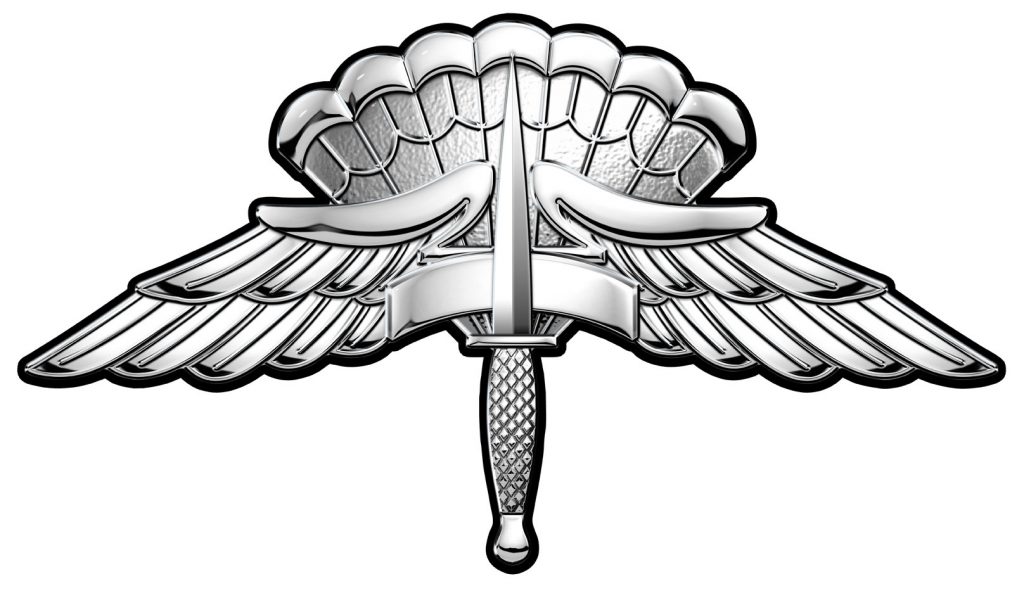 High Altitude Low Opening (HALO) Basic Parachutist Wings Badge Metal ...