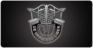 Special Forces Crest 12 x 6″ all Metal License Plate with holes – MACV-SOG