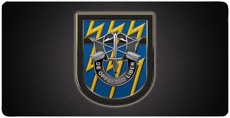 12th Special Forces Group 12 x 6″ all Metal License Plate with holes ...