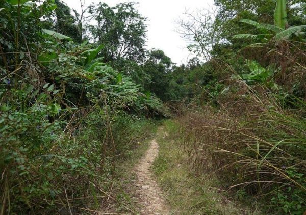 Oscar Eight – MACV-SOG